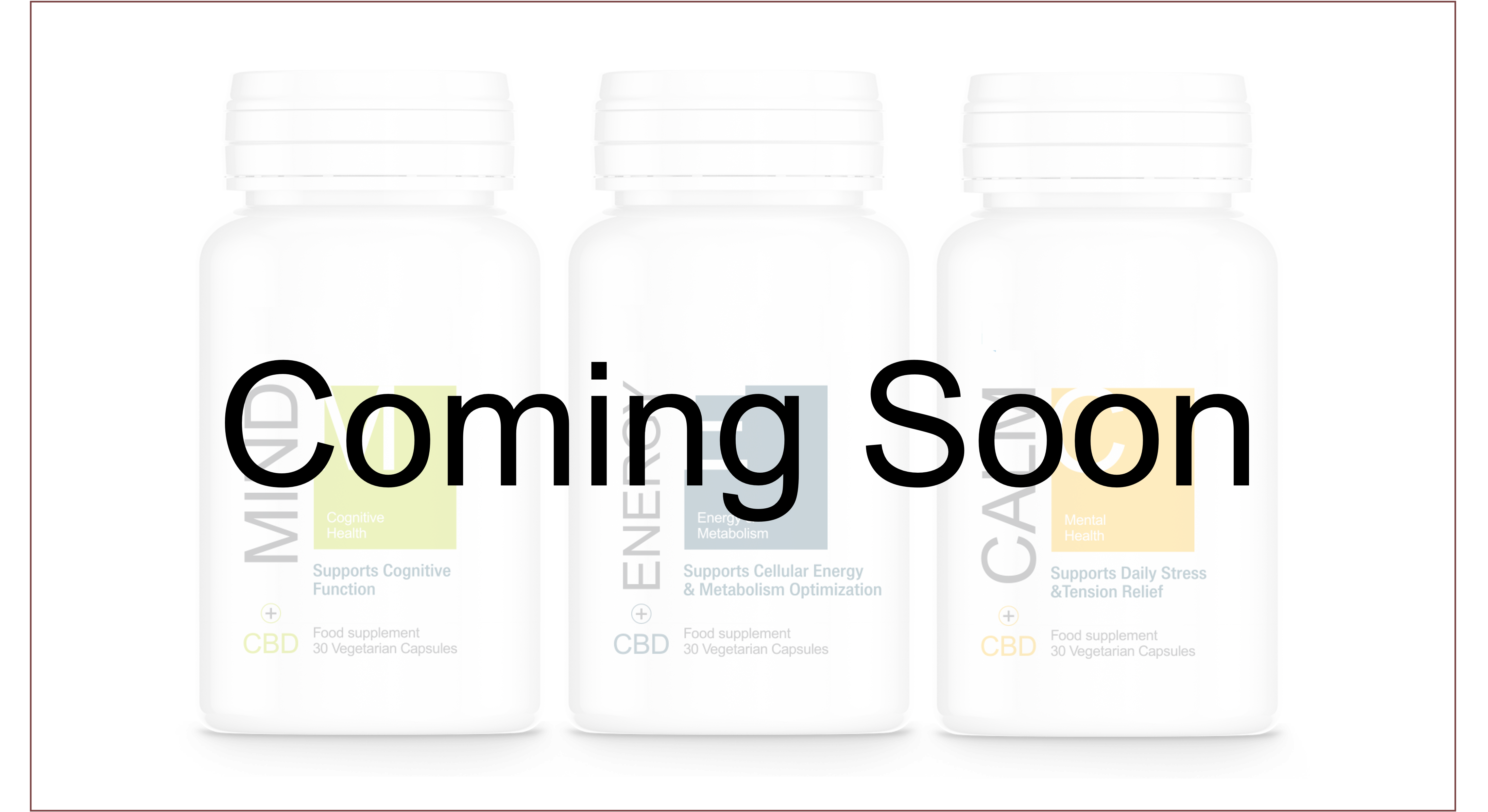 Coming Soon | CANNSUN JAPAN